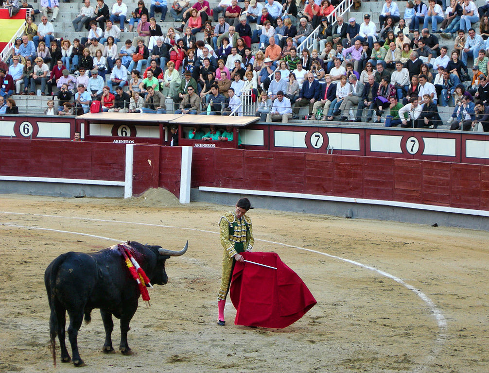 Spain, Culture Minister: bullfighting is a tradition. We will not ...