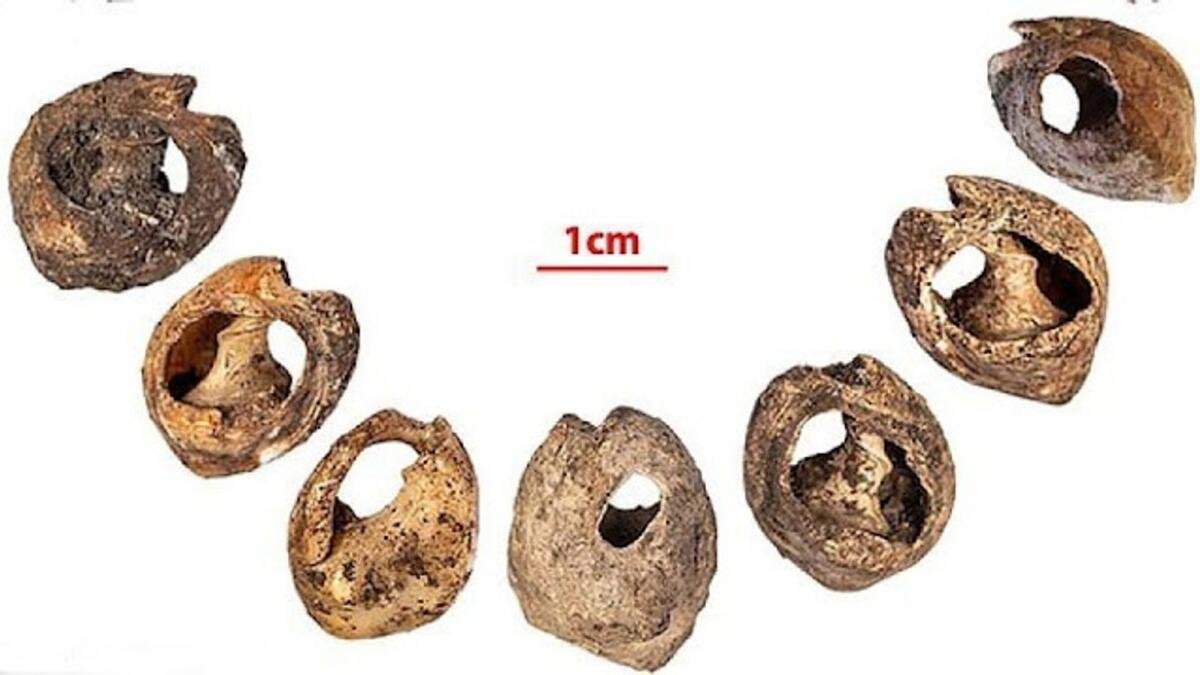 Morocco, jewelry made of shells discovered: believed to be the oldest ...