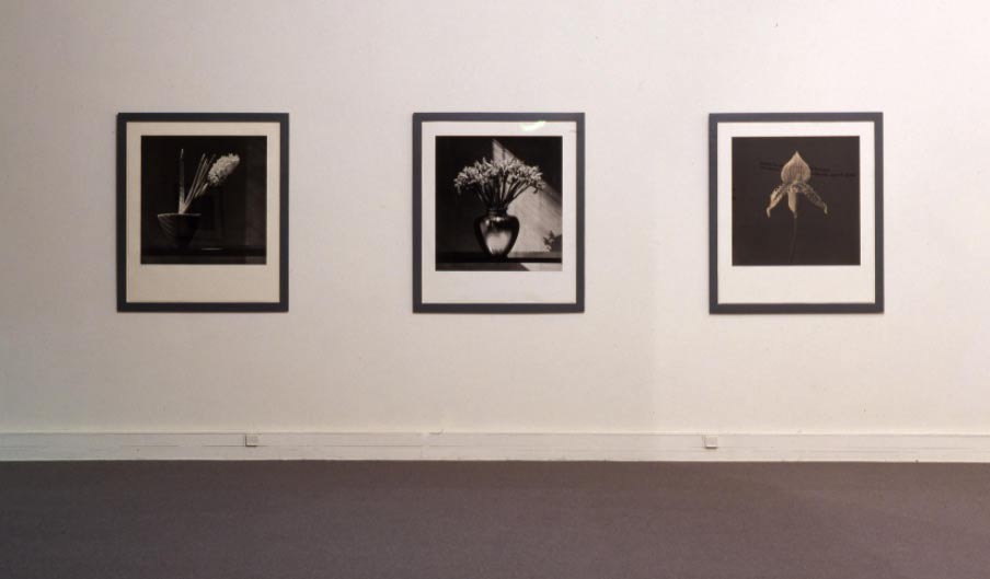 Museos de arte contemporáneo a Conte: 'hemos respetado las normas ...