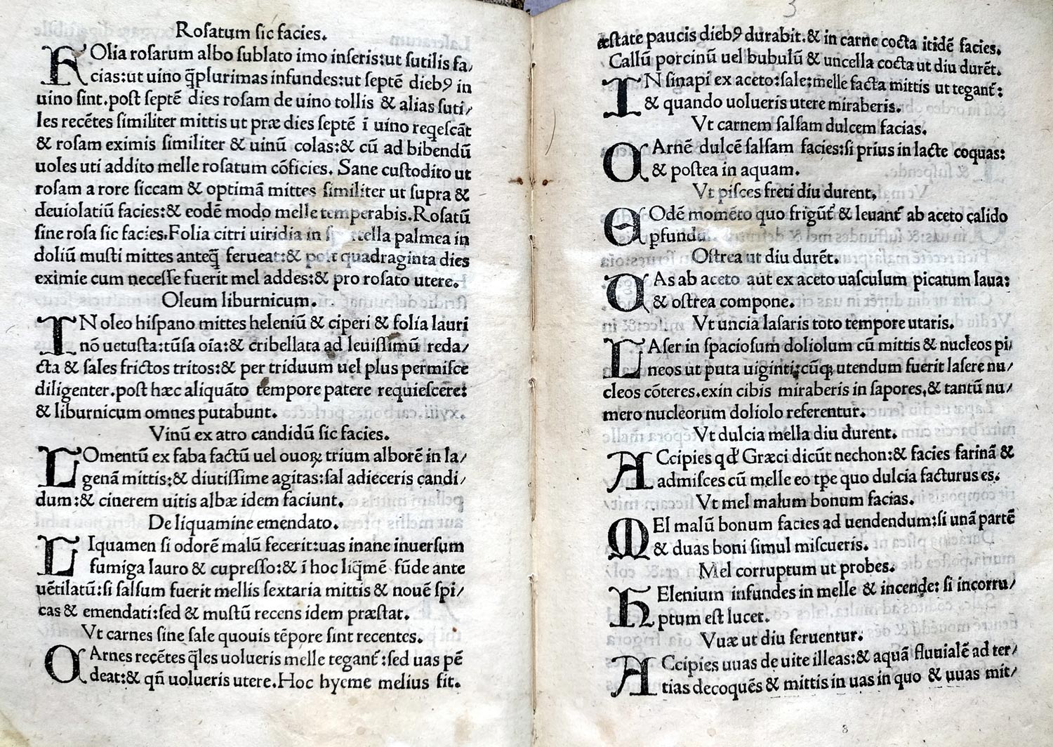 Il De Re Coquinaria di Apicio: cosa si mangiava nell'antica Roma