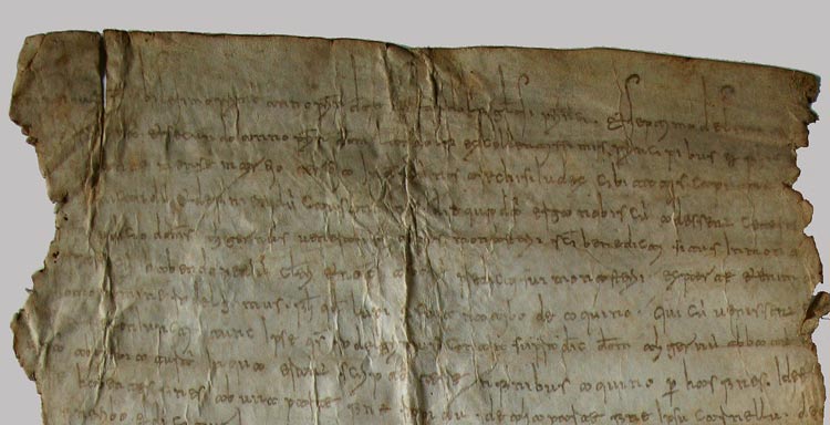 Sao ko kelle terre... . At the origins of Italian: the Placito of Capua