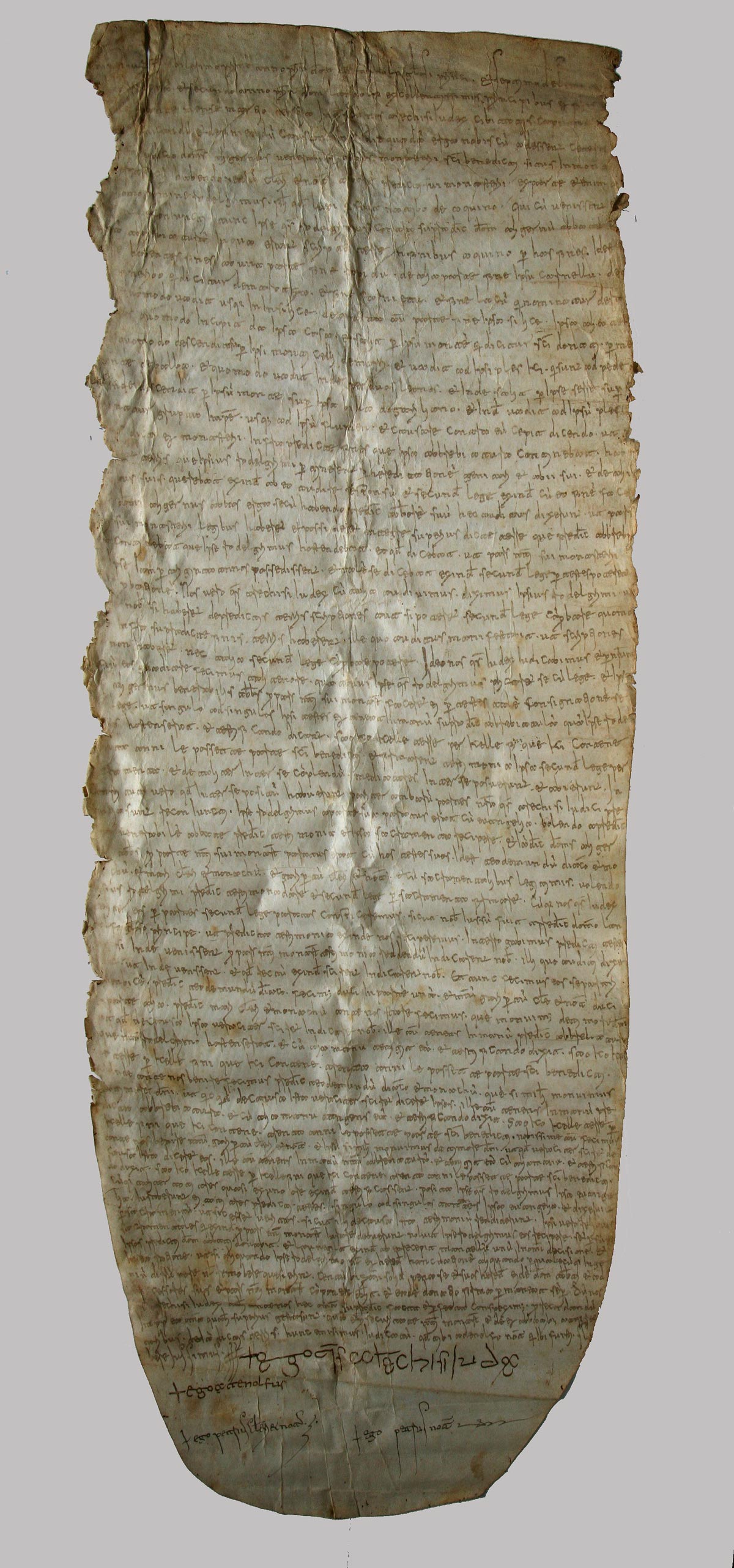 Sao ko kelle terre... . At the origins of Italian: the Placito of Capua