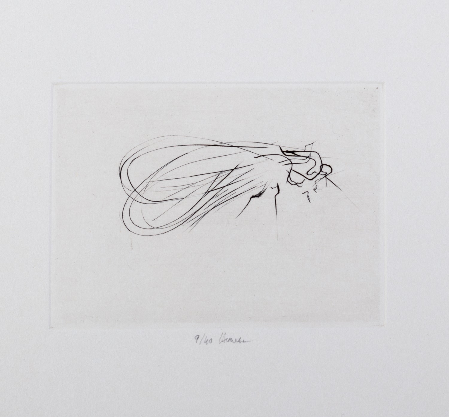 Art as sign, light, balance between measure and non-measure. Interview ...