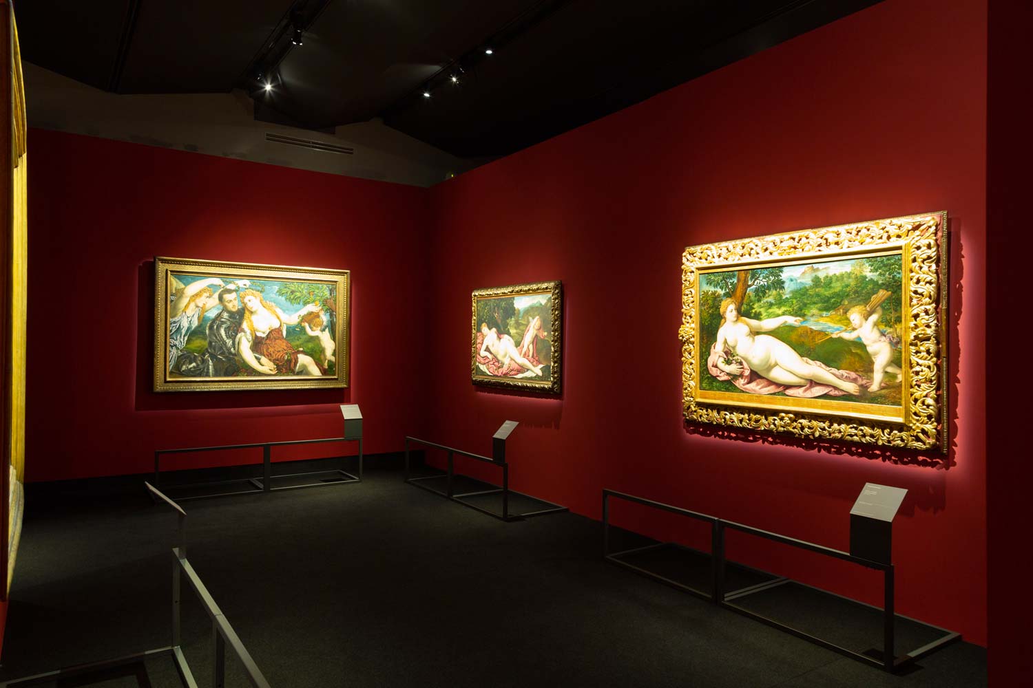 Treviso, what the Paris Bordon exhibition looks like: an exhibition for ...