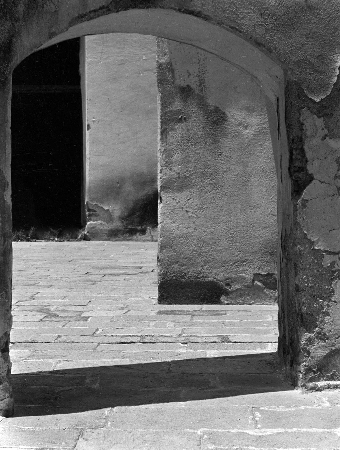 Tina Modotti. The Alquimia de la Mirada