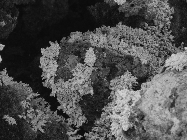 A Palermo la mostra della giovane artista svizzera Deborah-Joyce Holman