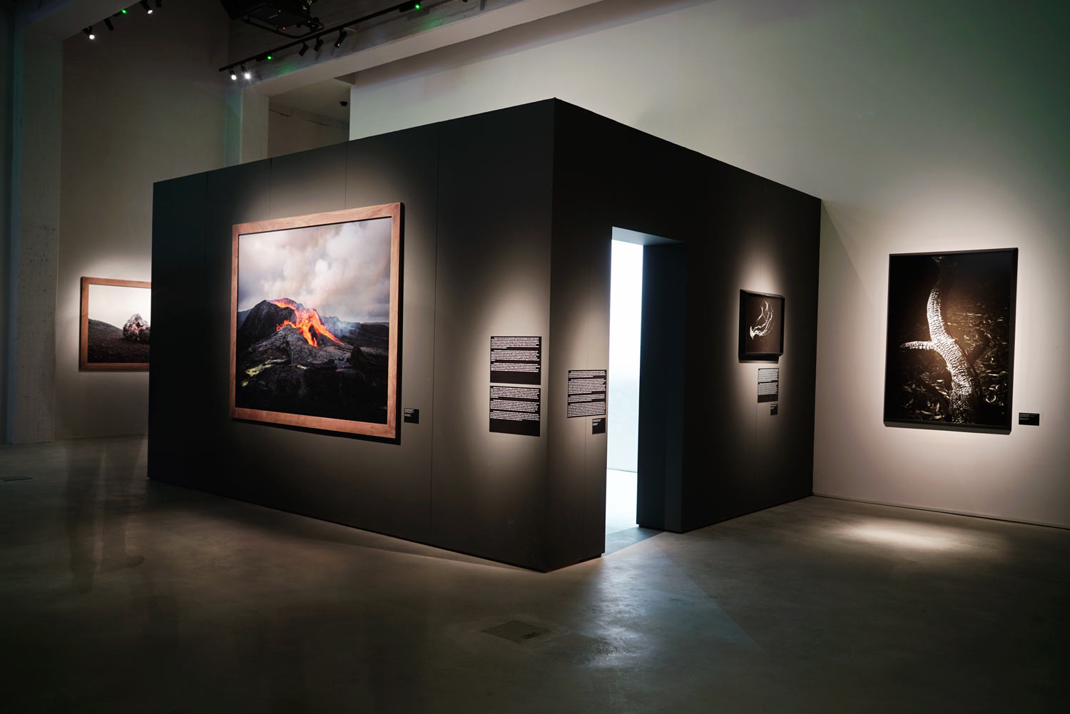 Turin, Italy's new Gallerie d'Italia museum, Palazzo Turinetti, opens ...