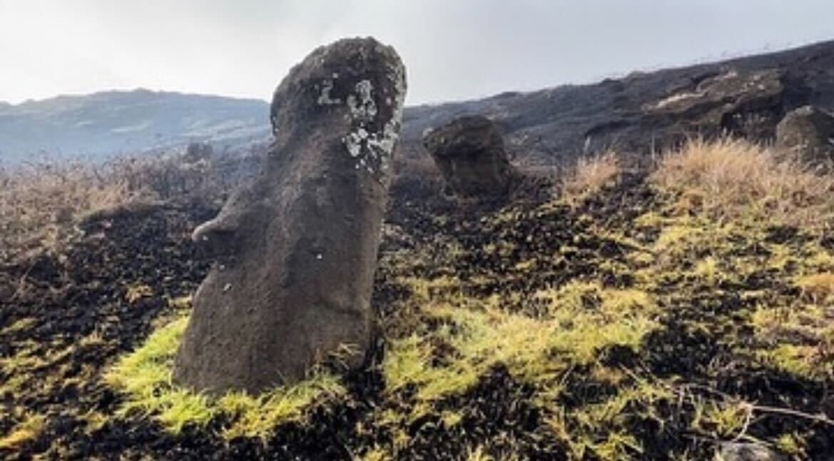 Easter Island, arson damages some moai trees Easter Island, arson damages some moai trees