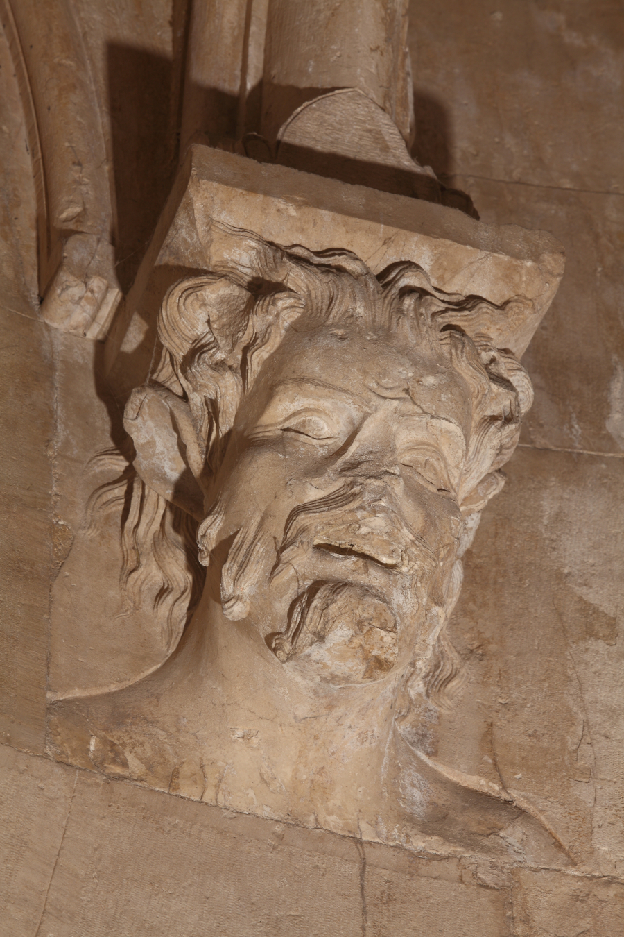 Animals and fantastic places in Italy's museums: Puglia