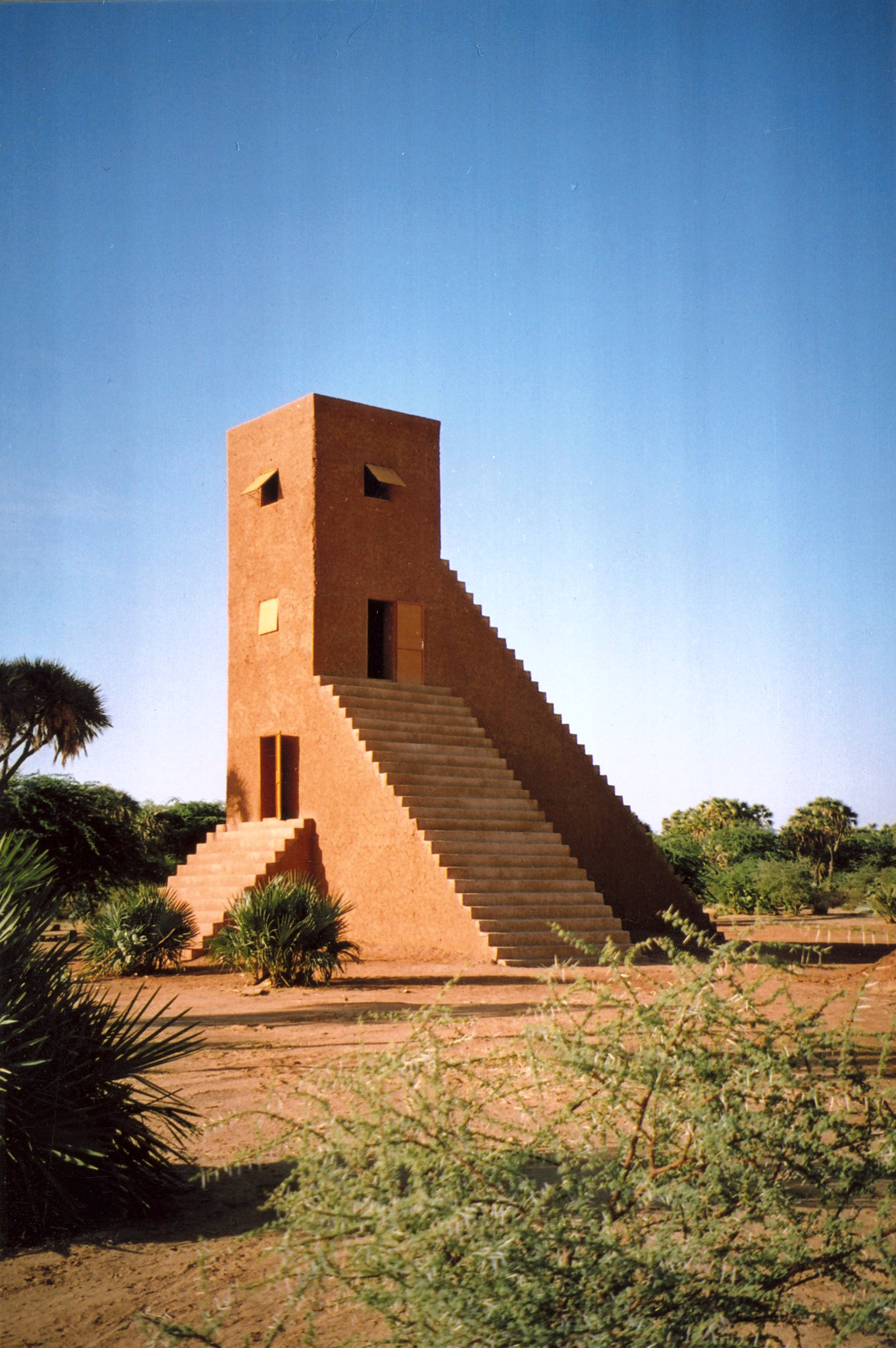 Not Vital's sculpture: an unusual book for a contemporary artist