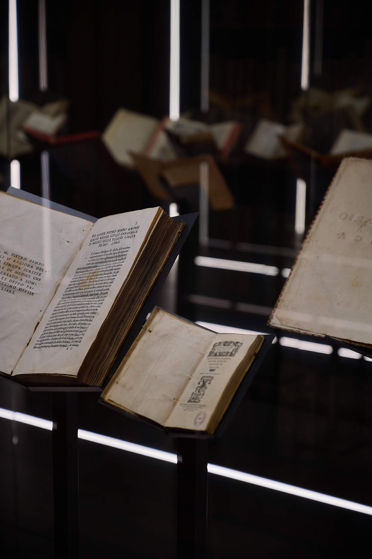 Verona, new projects and exhibition space at the Chapter Library