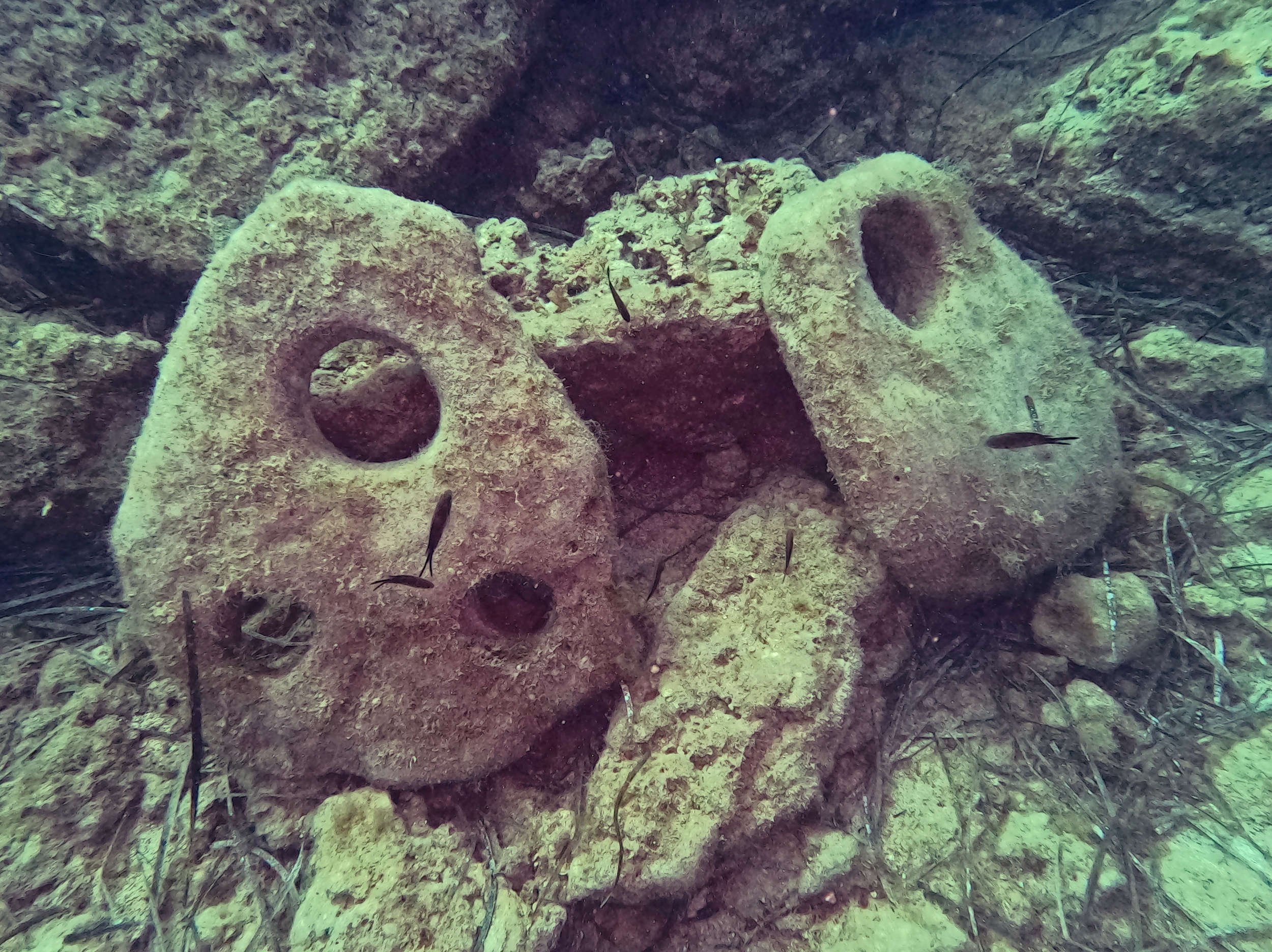 Two ancient anchors of Archaic age found in the sea in front of Syracuse