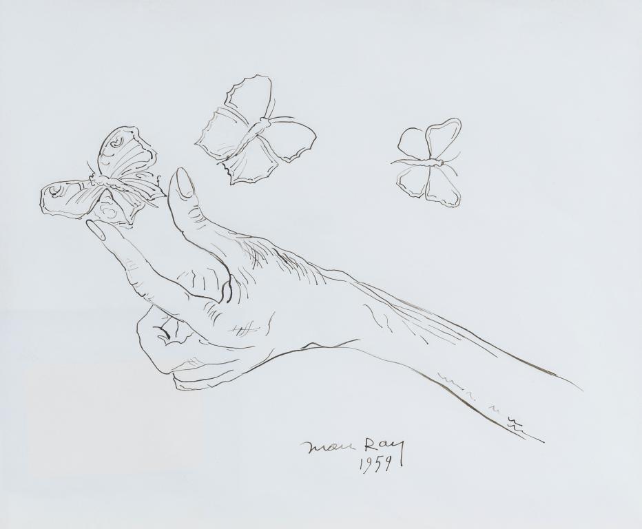 Animals drawn on paper from the 18th to the 21st century on display in Rome