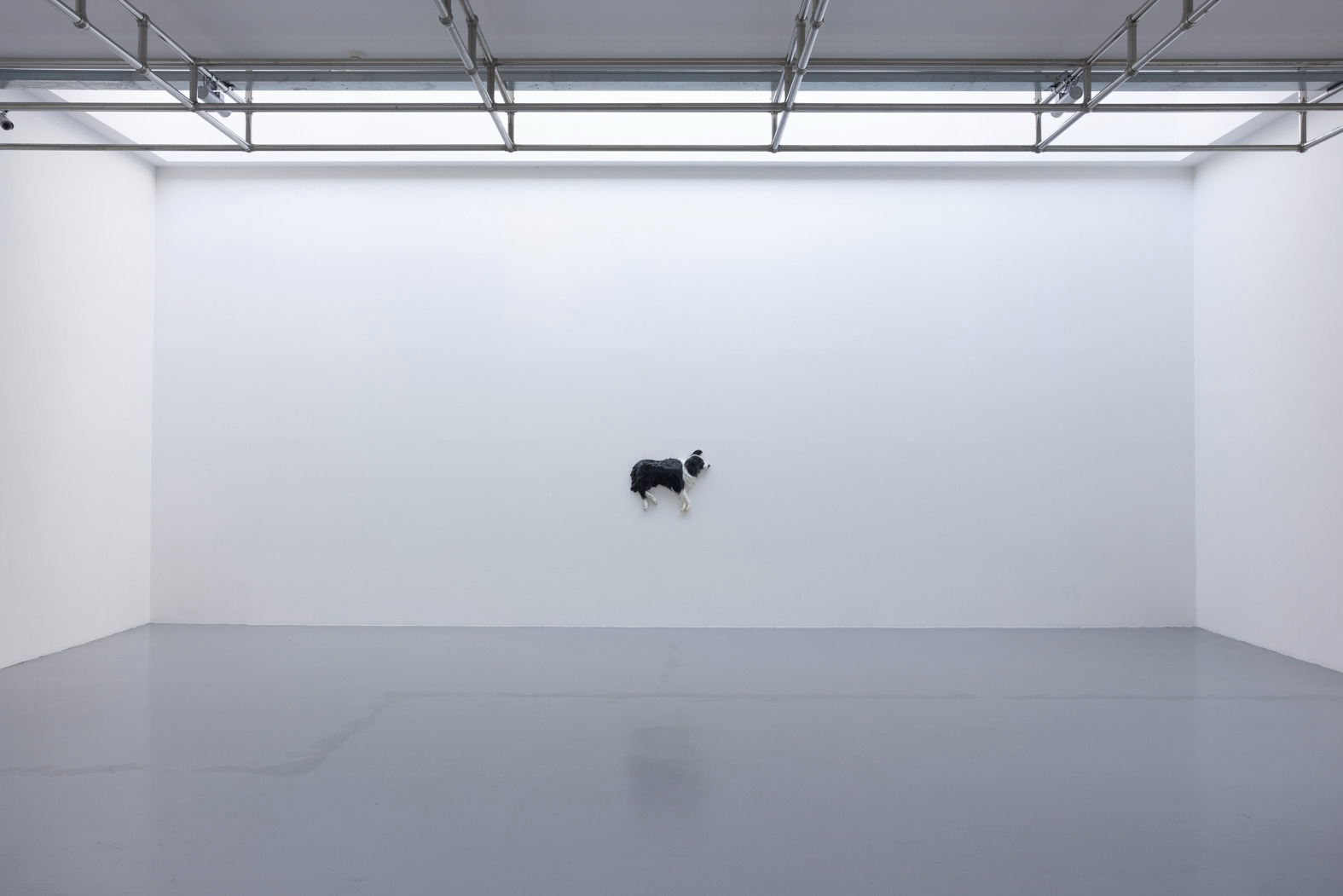 En el Pecci de Prato, la mayor exposición de Diego Marcon en un museo ...