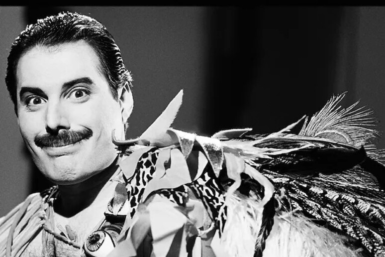 An exhibition tracing the history of Queen through Peter Hince's shots ...