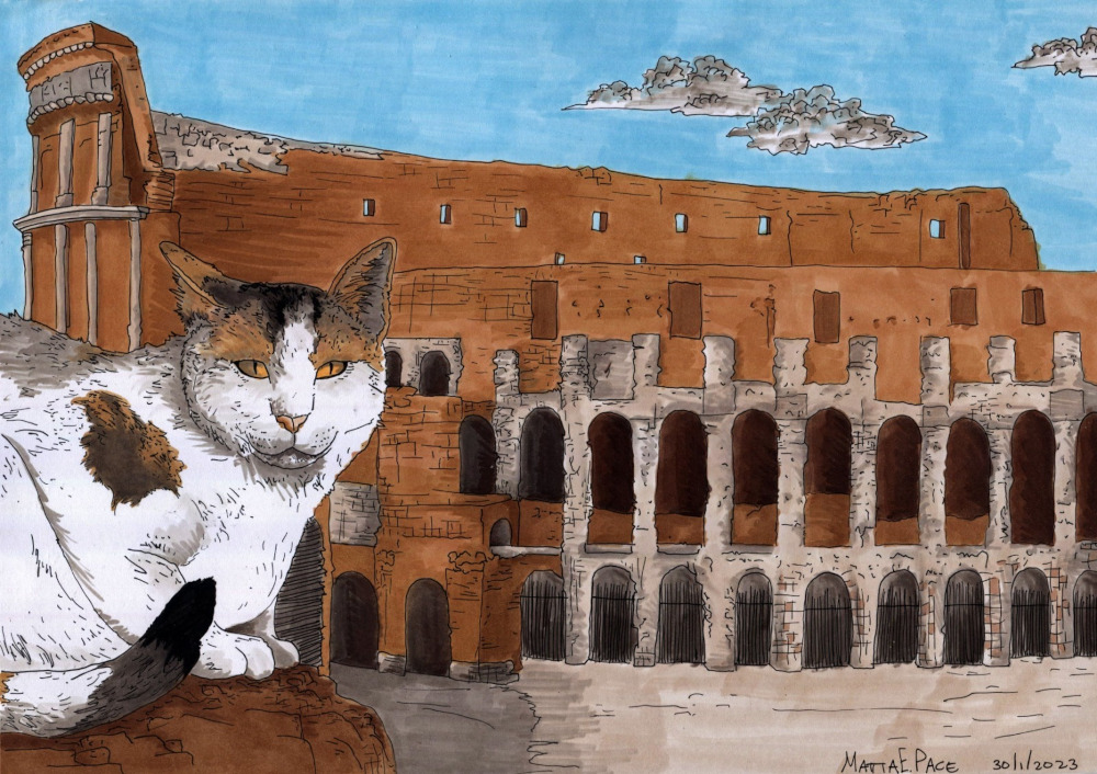 Colosseum Park celebrates Cat Day with a contest: here are the young ...
