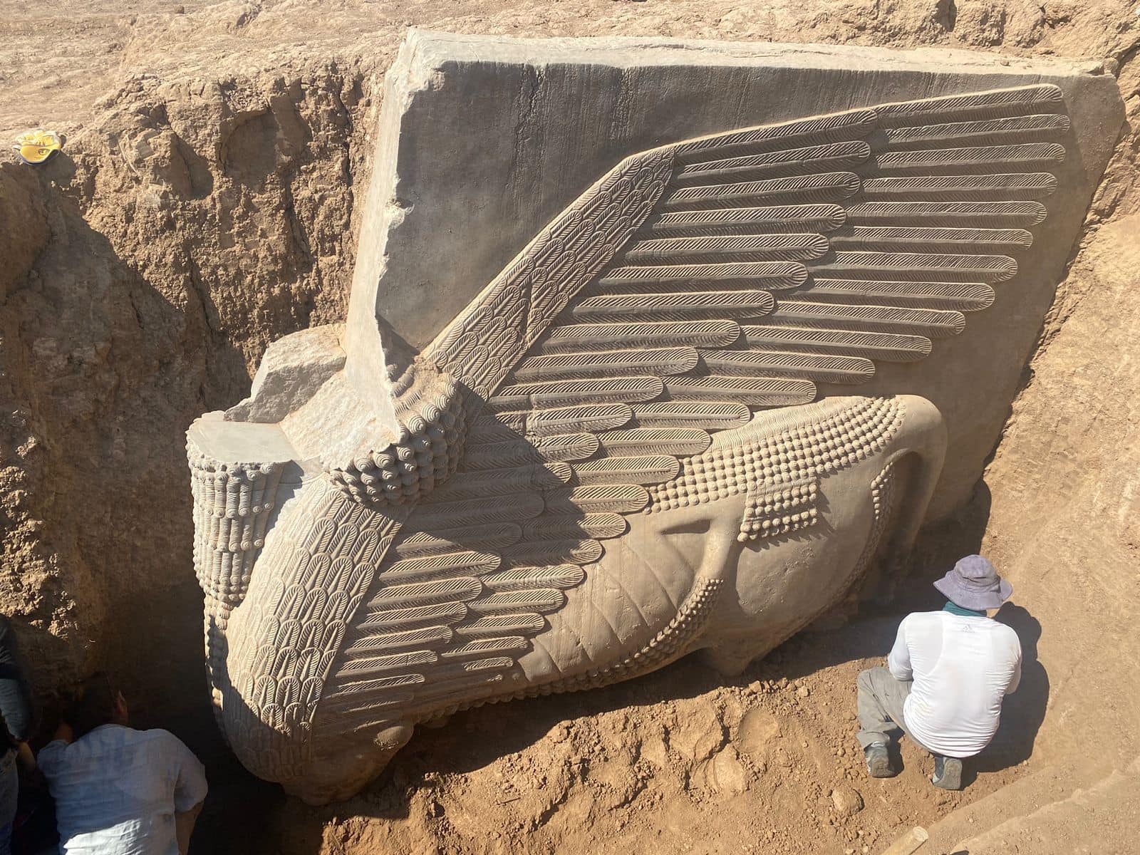 Une découverte spectaculaire en Irak. Le lamassu de Khorsabad refait ...