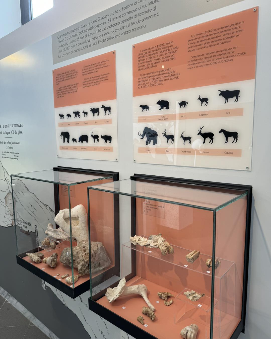 Ventimiglia, the Balzi Rossi Prehistoric Museum inaugurates its new ...