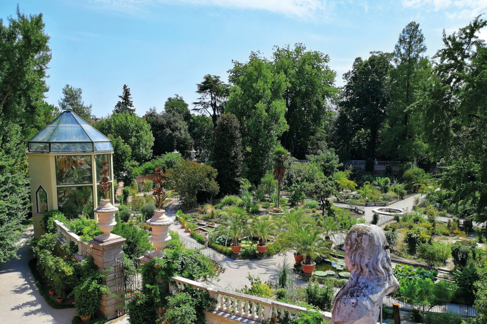 Botanical Garden Museum of the University of Padua opens to the public.