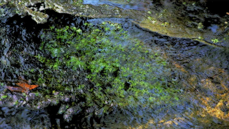 Peter Campus, pioneer of video art, is in Italy with the exhibition ...