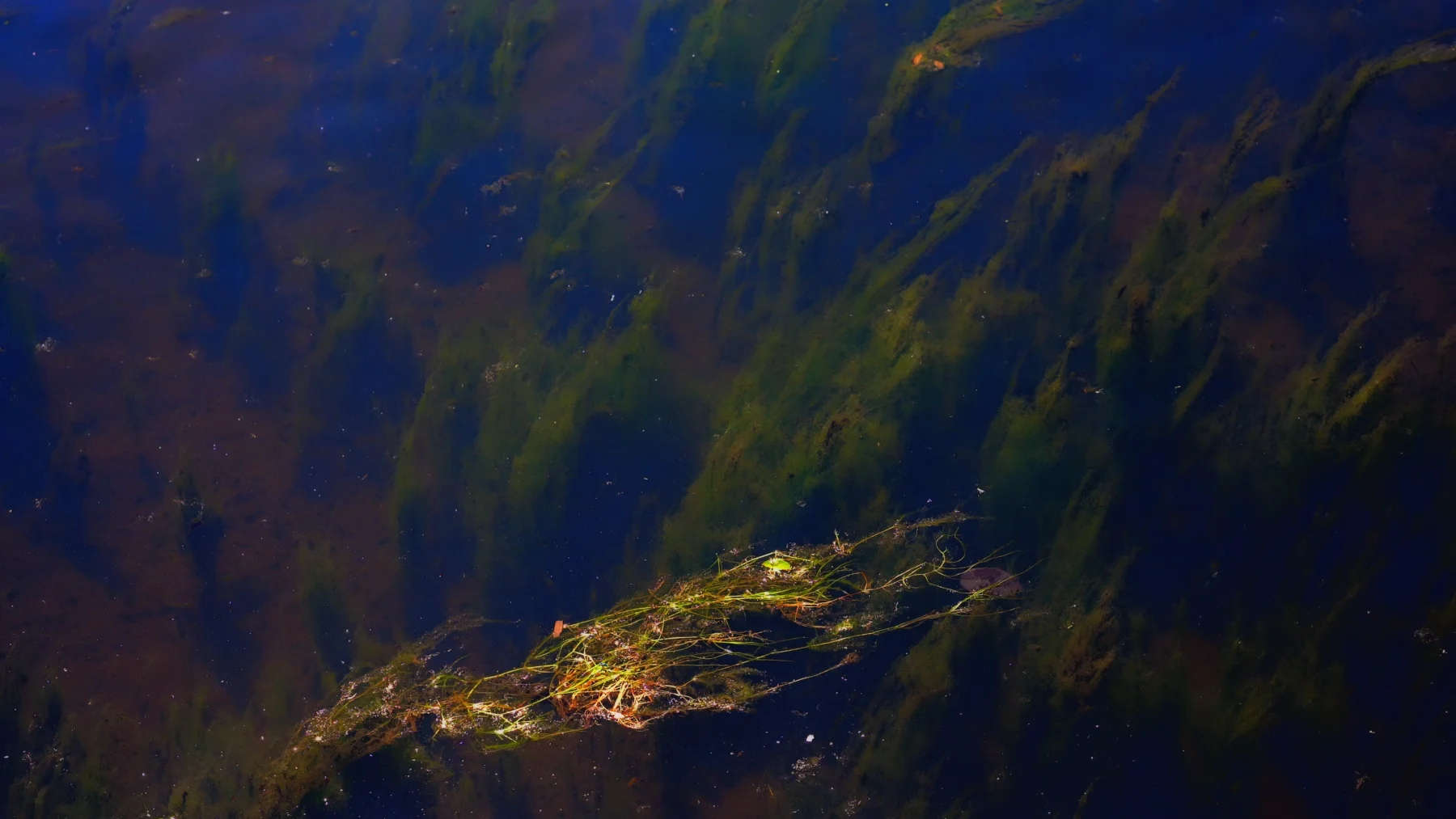 Interview with Peter Campus: I do video art, but I feel I am part of ...