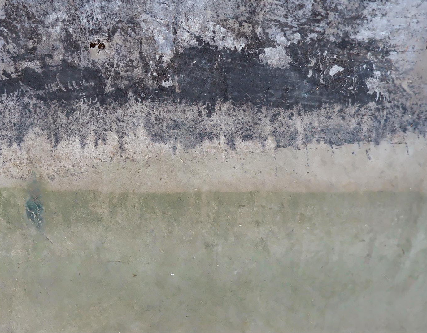 Rome, an exhibition showcases the Naturographies of Roberto Ghezzi