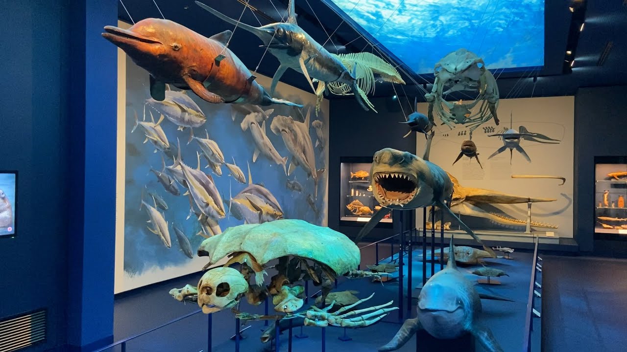Museum of Nature and Man, the university's large science museum, opens ...