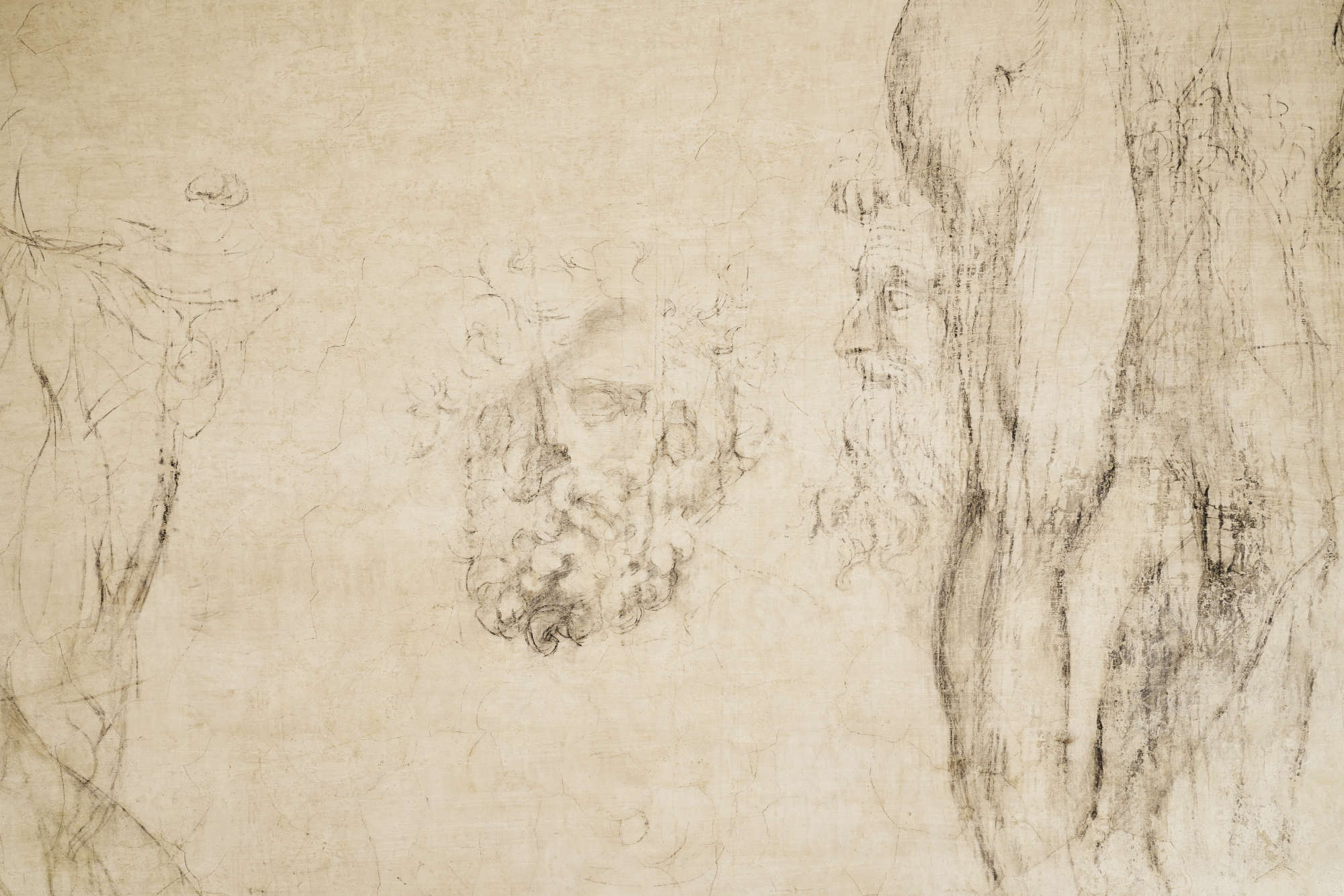 Florence, Michelangelo's Secret Room opens to the public after 50 years