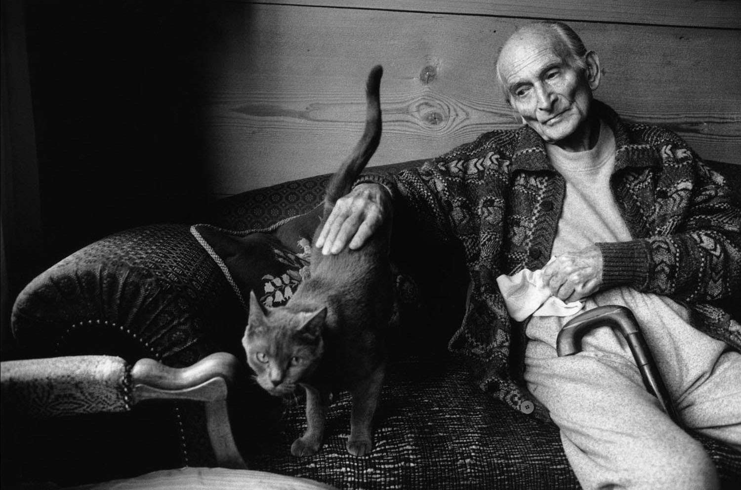 Famous artists and their cats: 10 pictures of artists with their cats