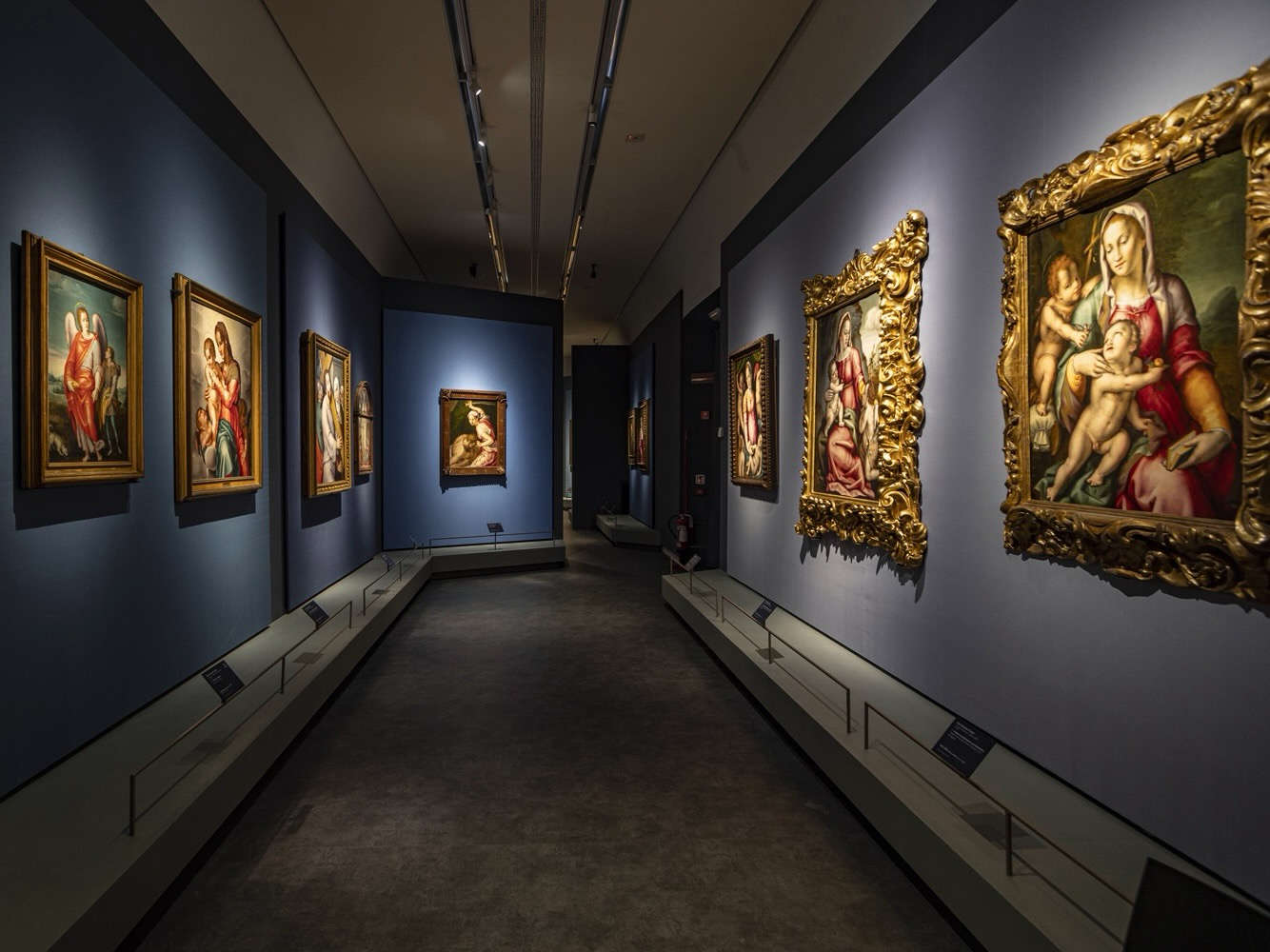 Andrea del Sarto's forgotten pupil. What the exhibition on Pier ...