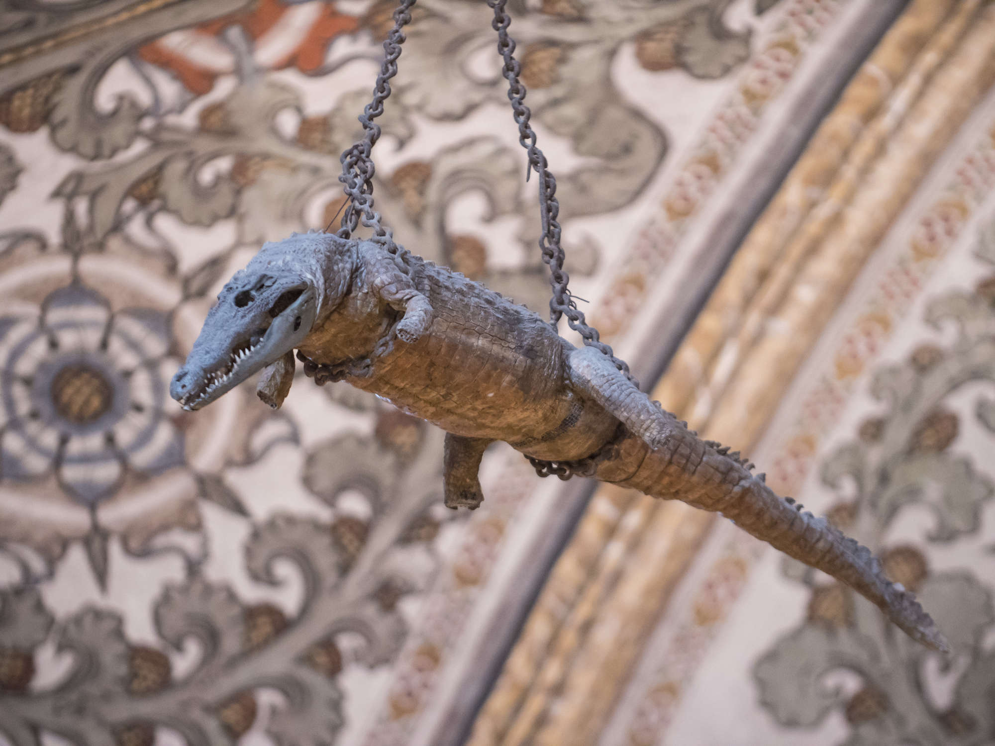 Fantastic things and where to find them: the fascinating world of the ...