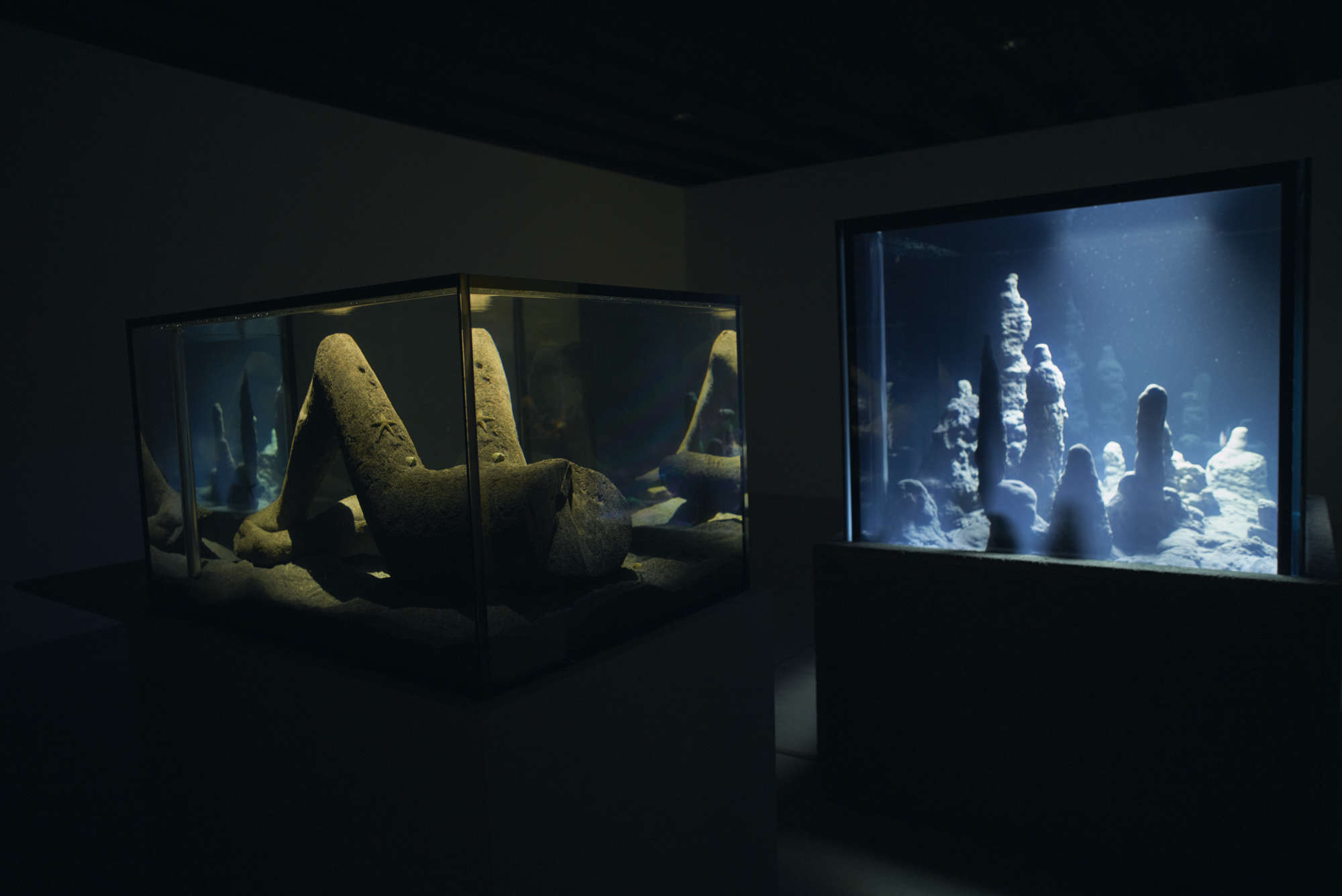 Rethinking Otherness. Liminal, Pierre Huyghe's monumental undertaking ...