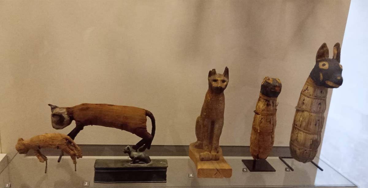 The breath of the desert: the importance and representation of the cat ...