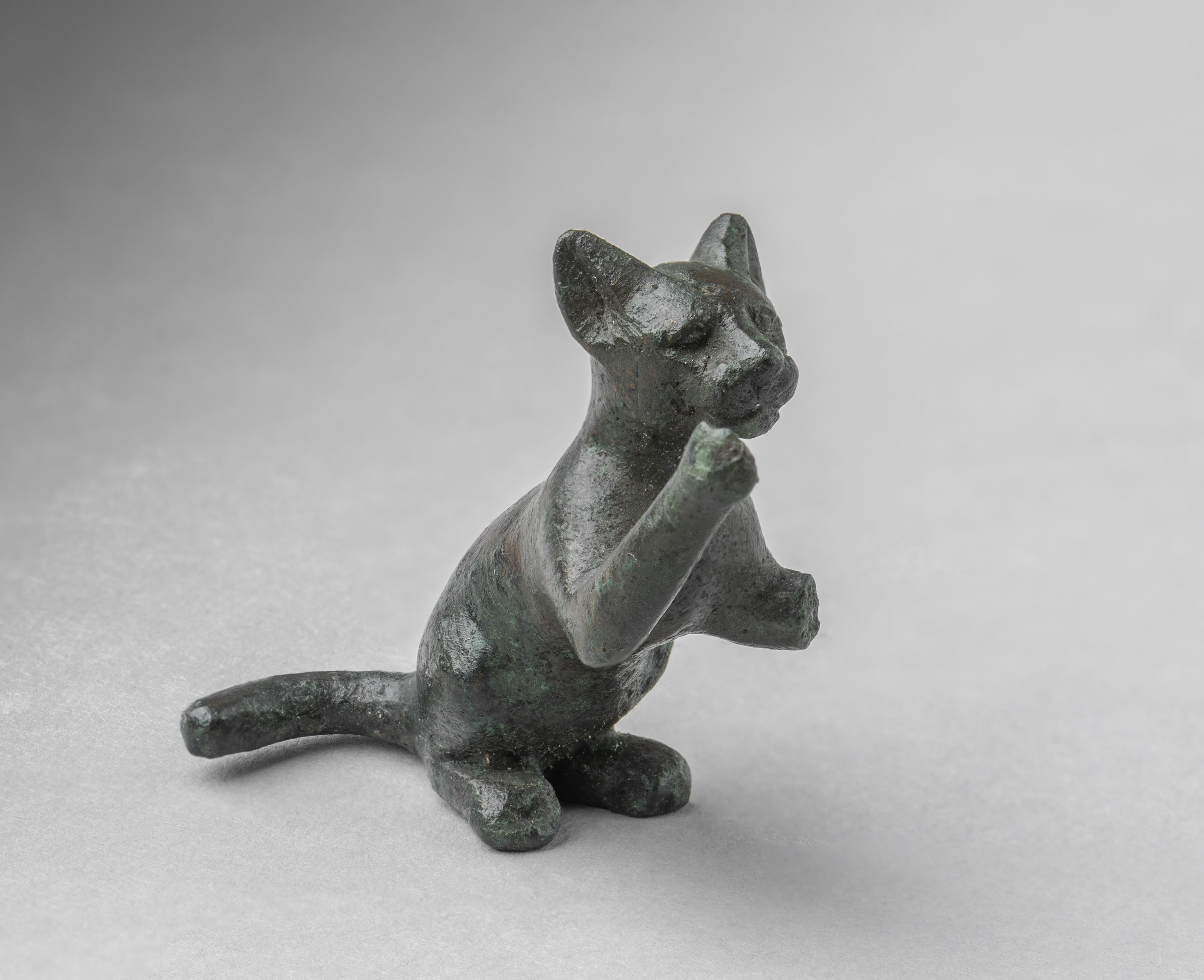 Le souffle du désert : l'importance et la représentation du chat dans l ...