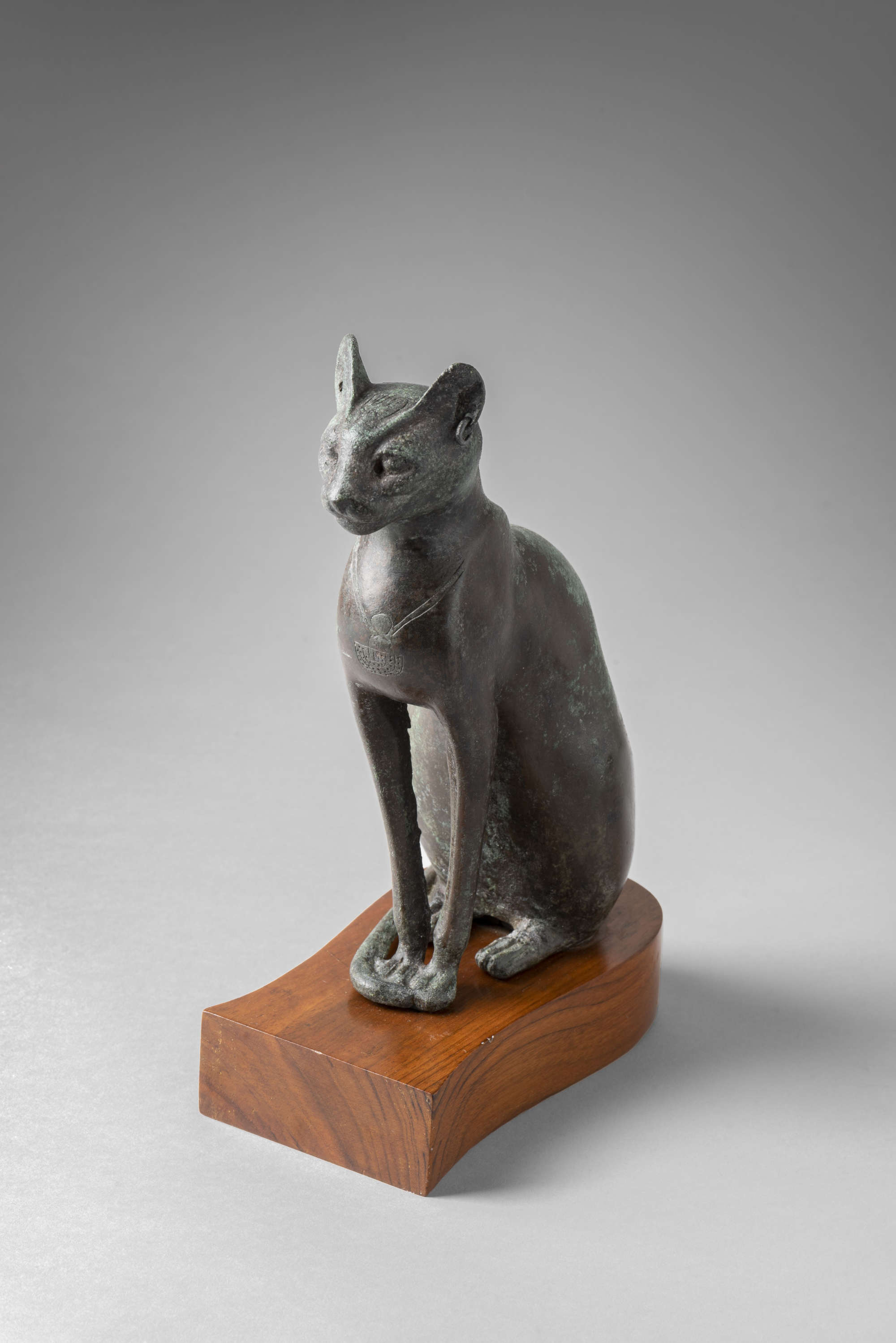 Le souffle du désert : l'importance et la représentation du chat dans l ...