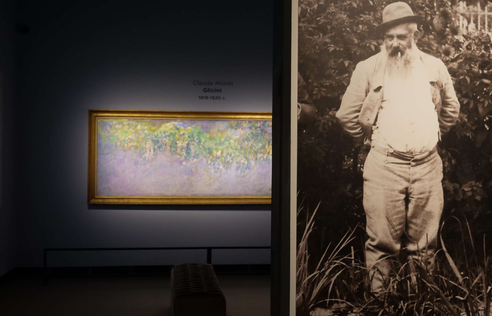 From train in the snow to water lilies. What the Monet exhibition in ...