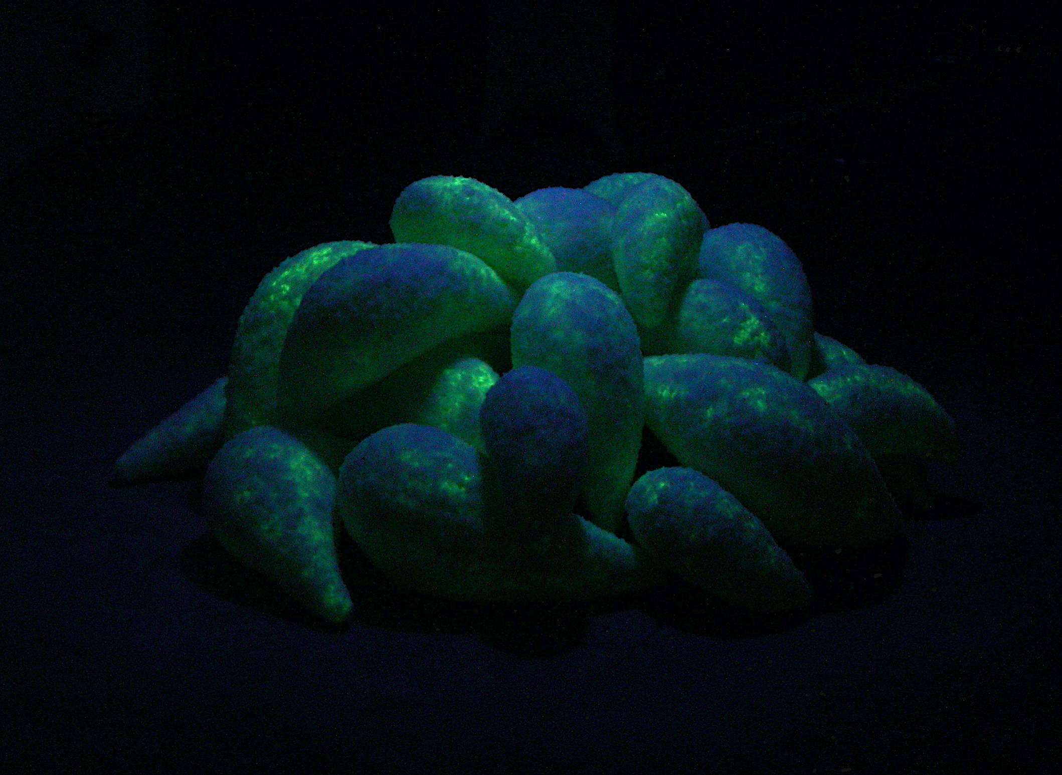 La beauté est émotion et perturbation". Conversation avec le sculpteur ...