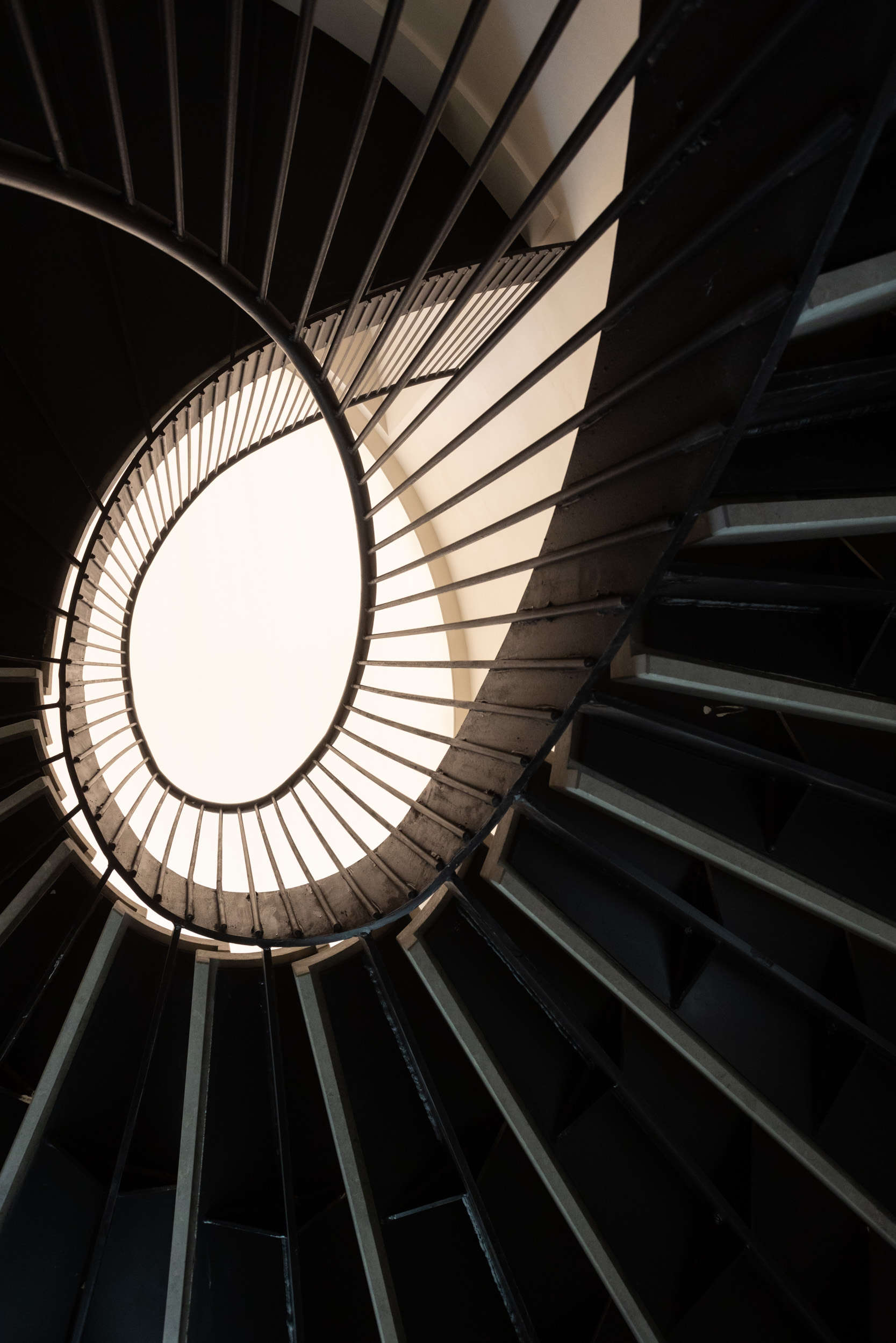 In Venice, here is Carsten Höller's new permanent work: the oval ...