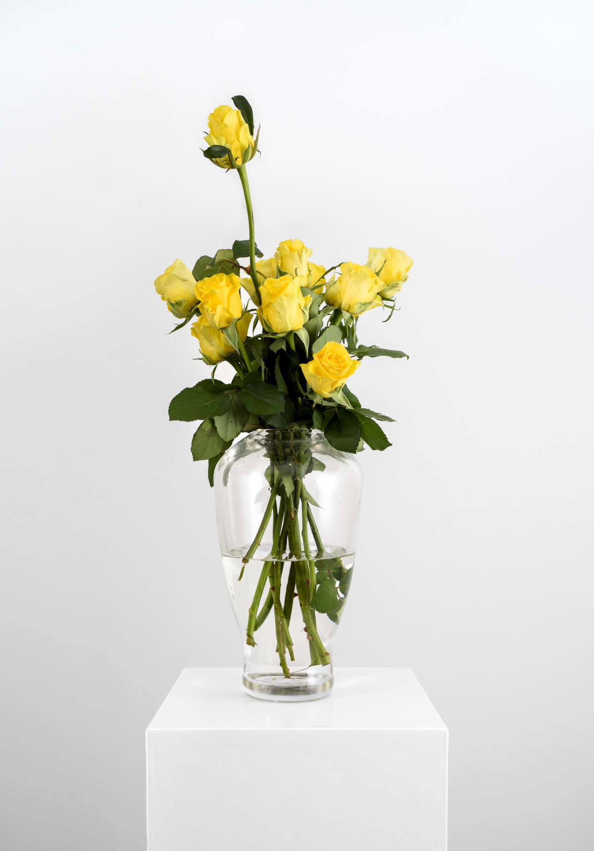 In Milan the first exhibition in Italy of David Horvitz