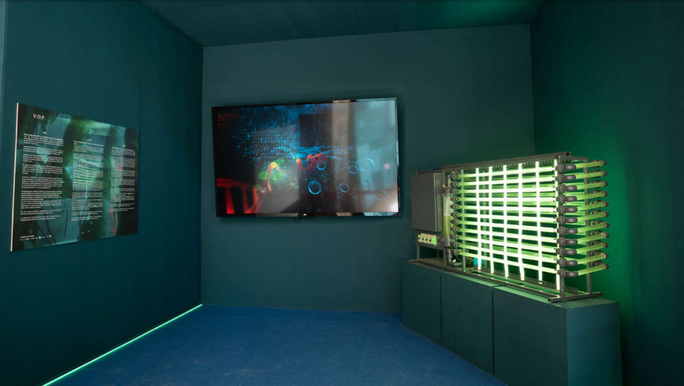 An art museum in Spain dedicates an exhibition to...microalgae. Here's why