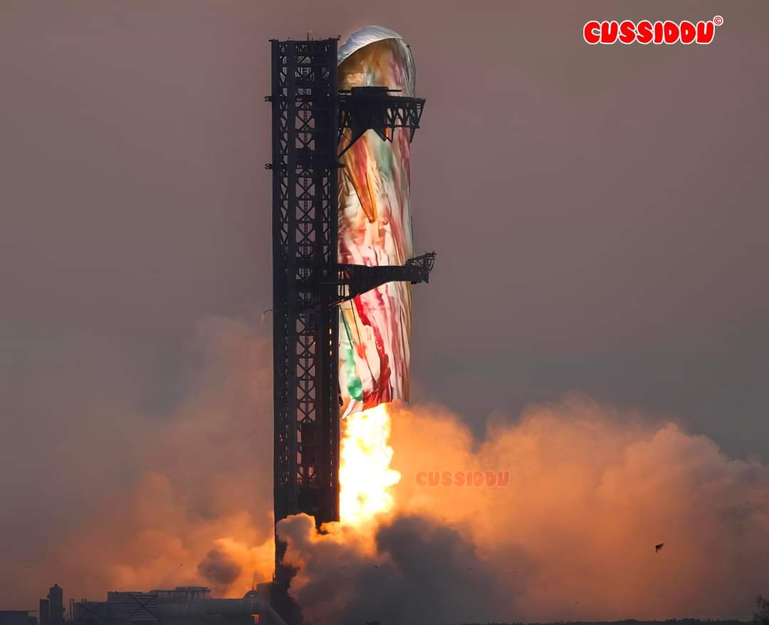 Naples, more memes and cartoons about the work of Gaetano Pesce. Here ...