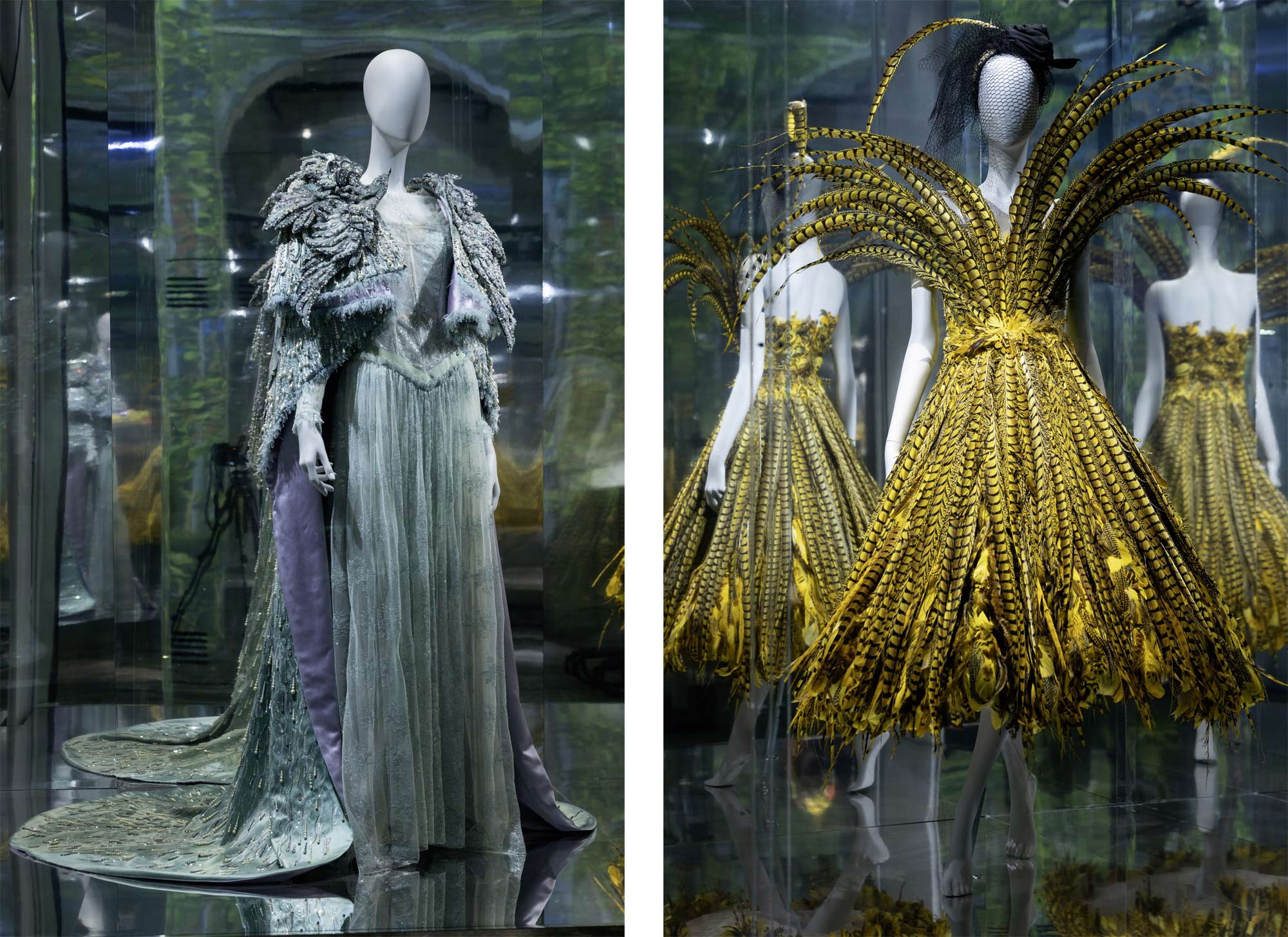 Rome, the Colosseum opens up to fashion with an exhibition on bird ...