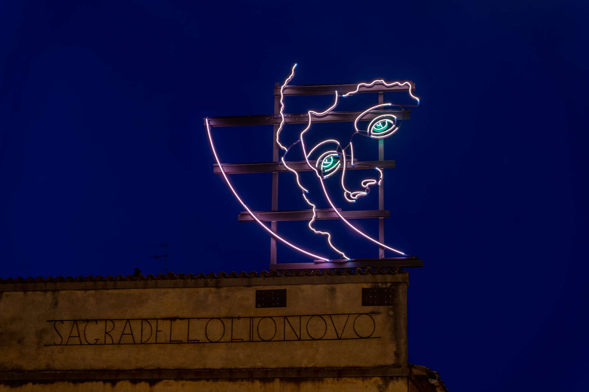 Abandon your eyes: in Bologna, the exhibition of Patrick Tuttofuoco