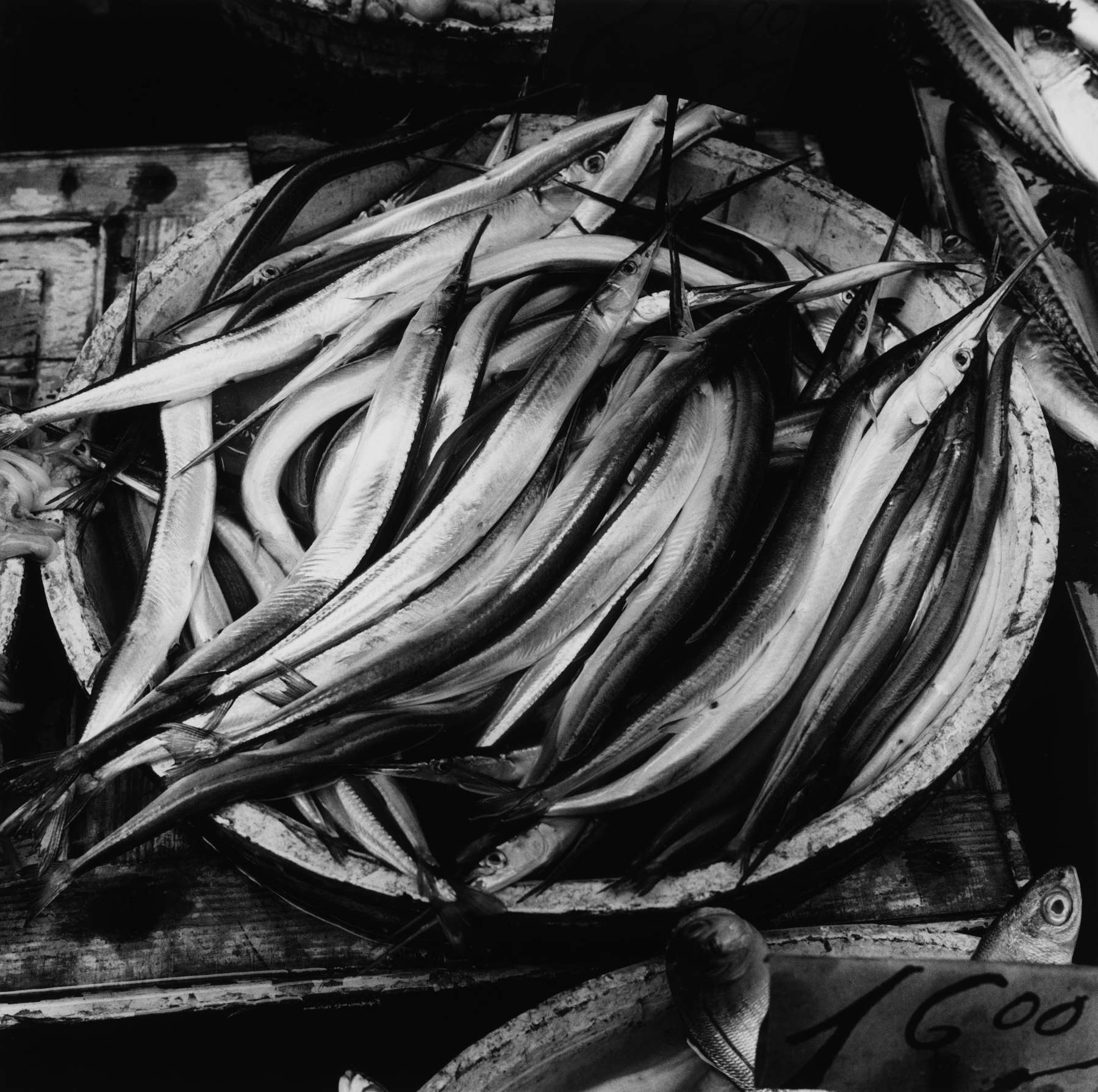 Peter Hujar's portraits on display at the Luigi Pecci Center for ...