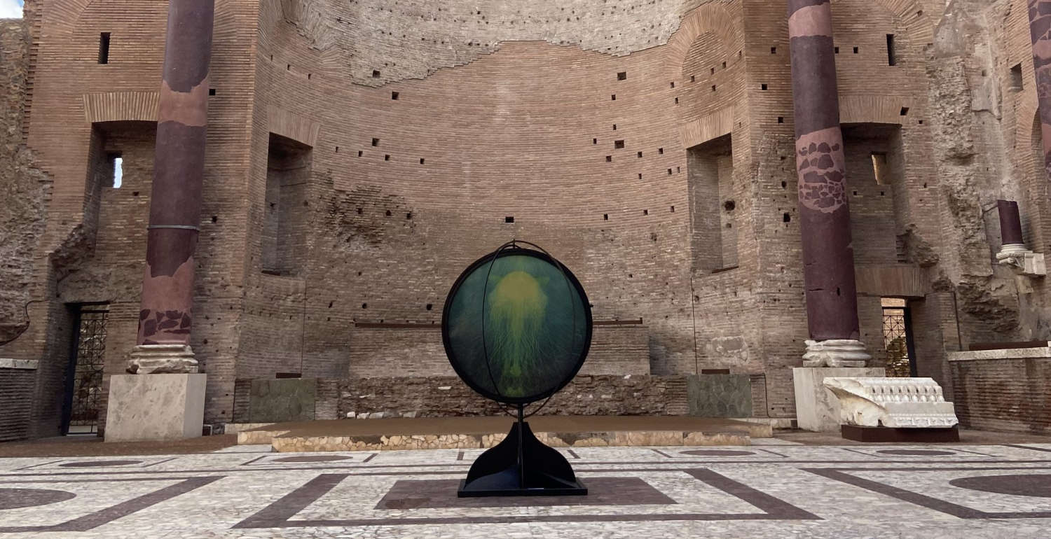 Al Parco del Colosseo la mostra Cyprea: La rete di Afrodite