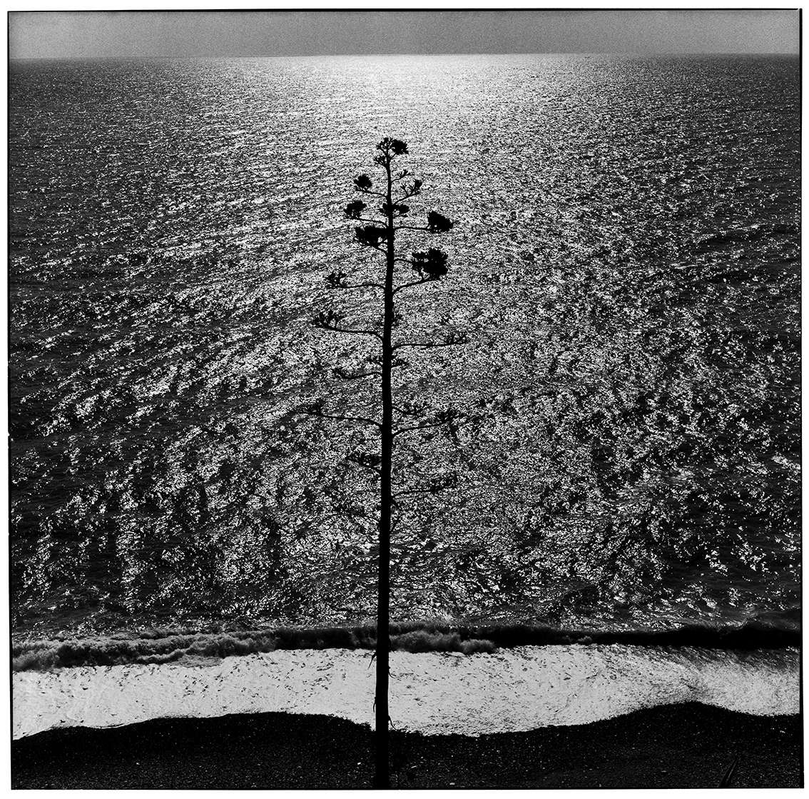 Ugo Mulas' photographs of Montale on display in one of Italy's most ...