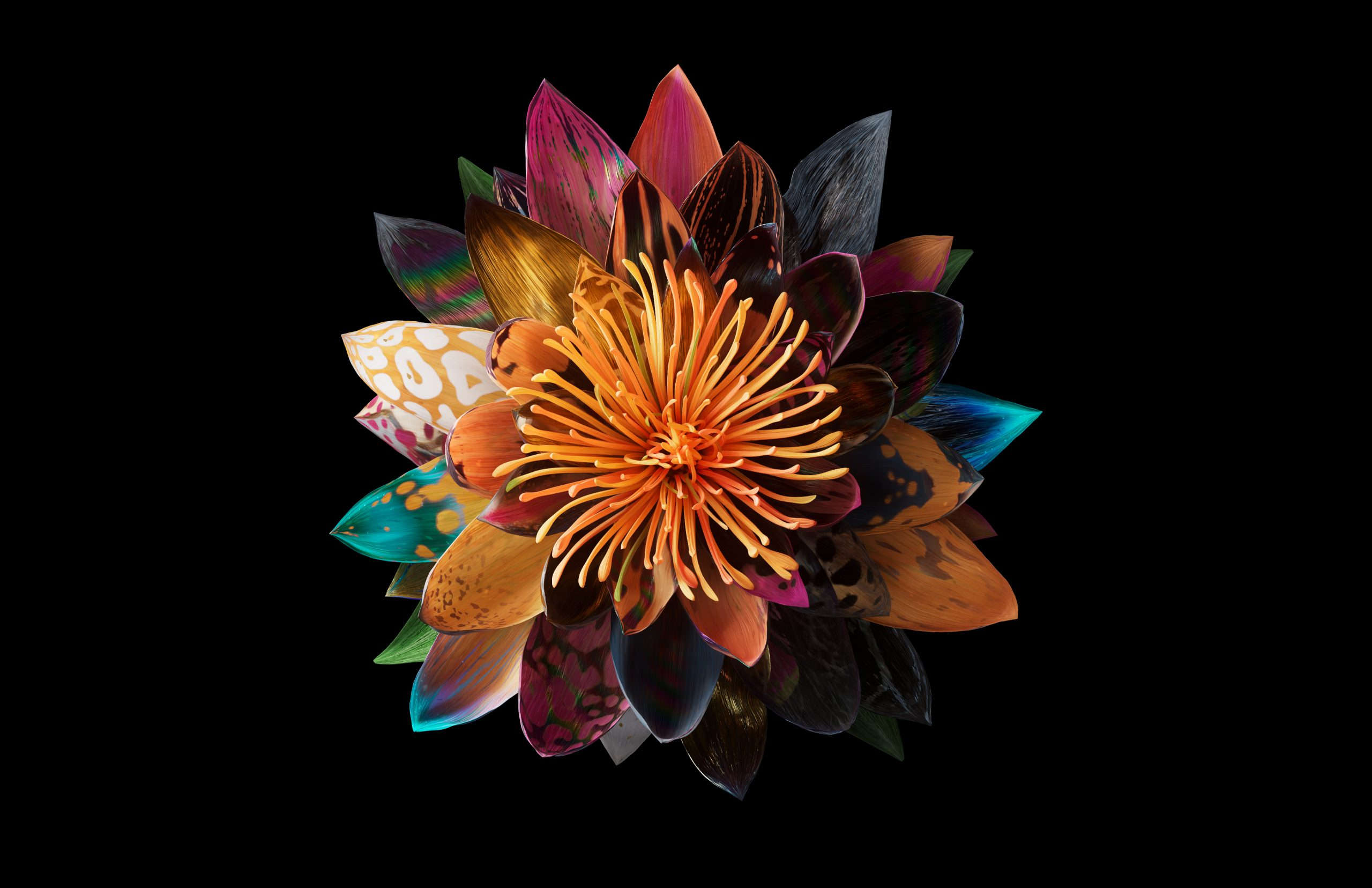 Mat Collishaw, las flores como enigmas fascinantes
